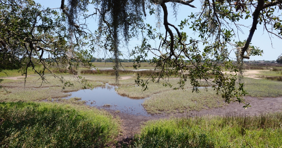 Battle of Bloody Marsh - New Georgia Encyclopedia