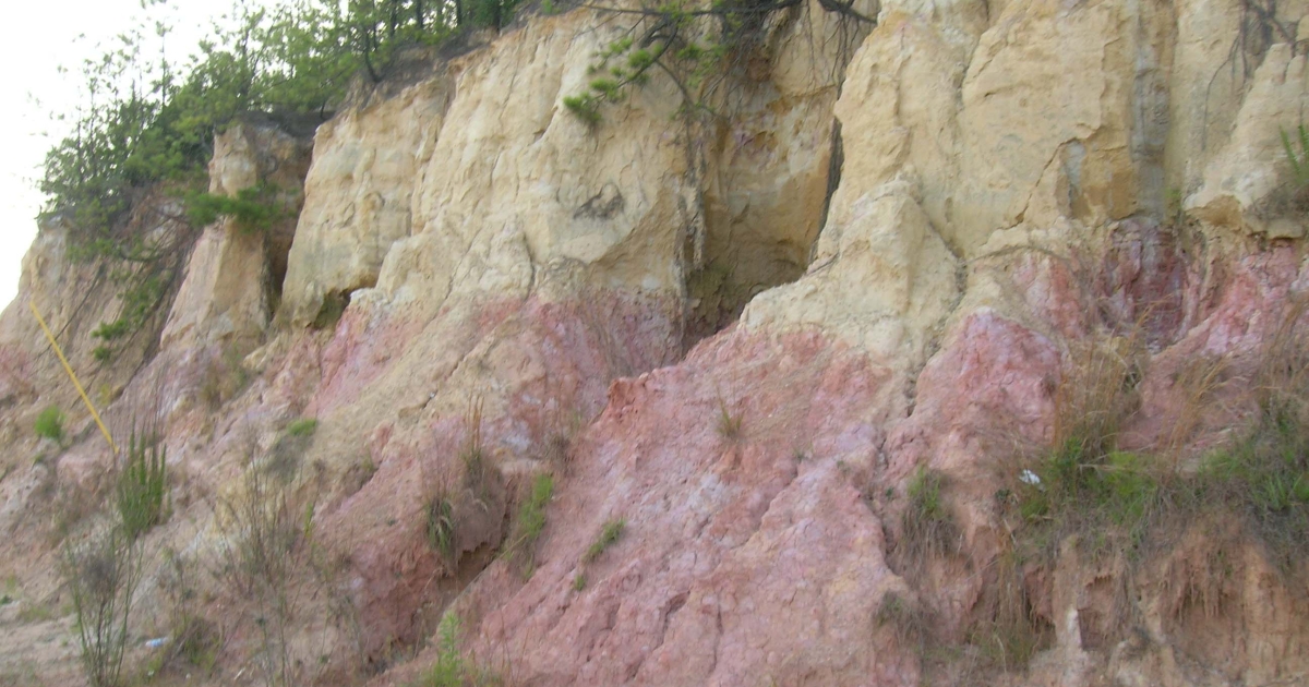 Coastal Plain Geologic Province - New Georgia Encyclopedia